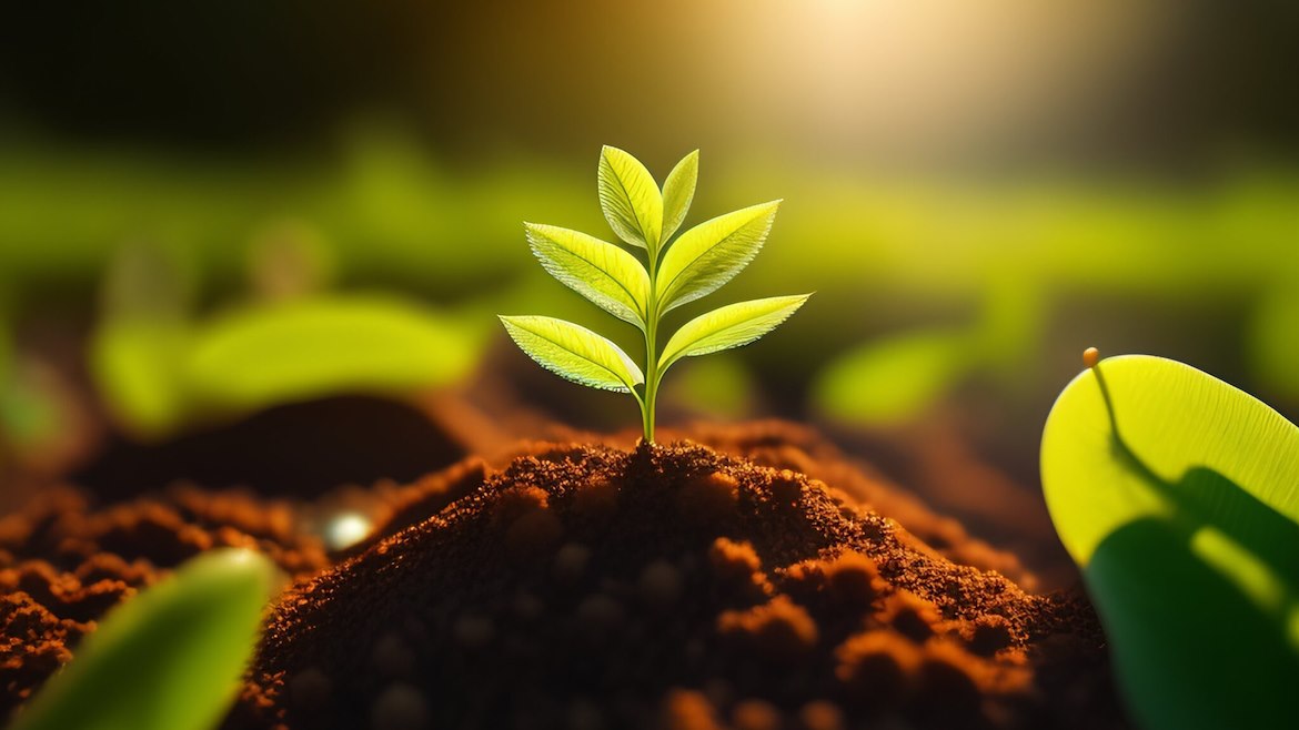 ‘Adopt a Plant', an initiative to cultivate green awareness