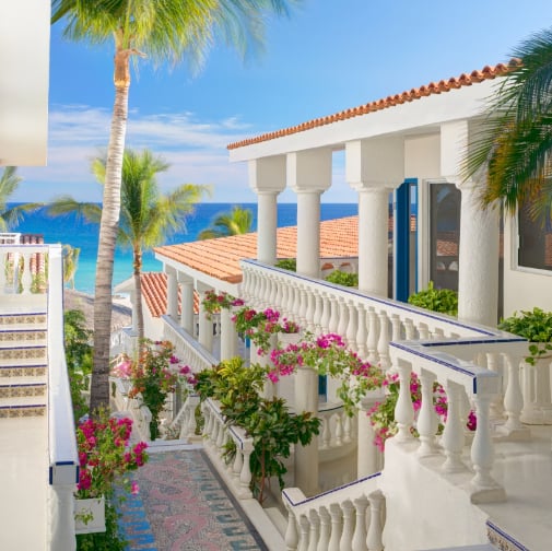 Luxury Boutique Hotel In San Jose Del Cabo | Velas Resorts